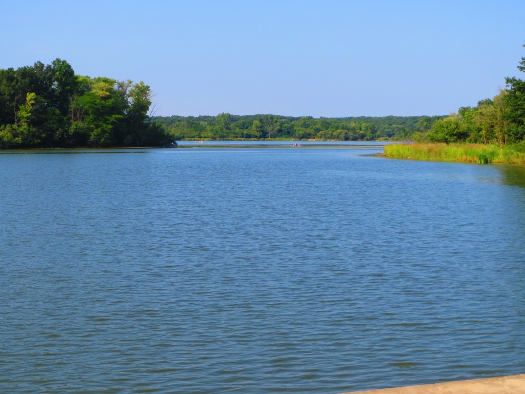 Busse Lake - Scenter of the Mind